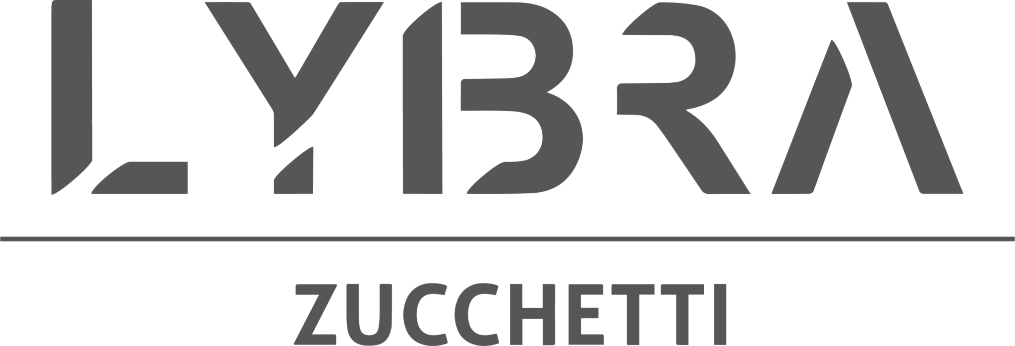 Data Driven Technologies - Lybra Tech